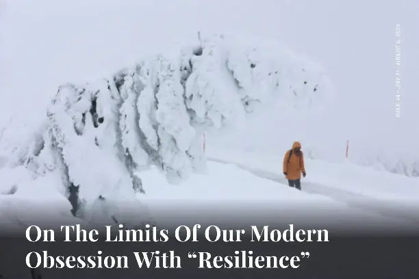 On The Limits Of Our Modern Obsession With “Resilience” - PressReader