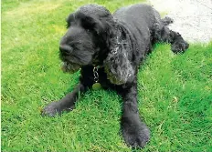 Nice One, Cocker - PressReader