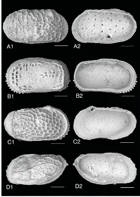 Q & A: Moriaki Yasuhara and Yuanyuan Hong ( University of Hong Kong ...