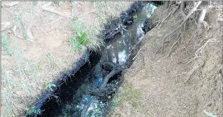 ‘Beautiful little stream’ damaged in oil spill - PressReader