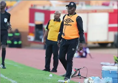 Zebras out to end drought - PressReader