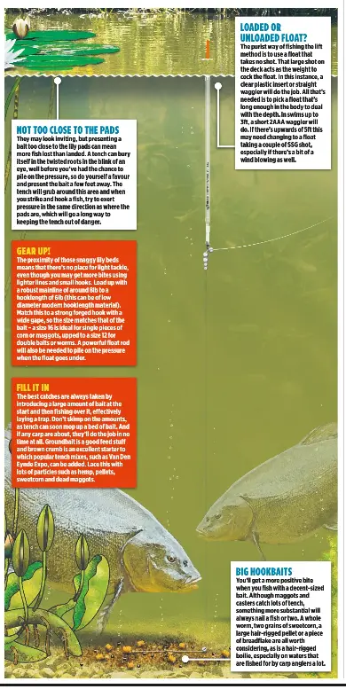 WAGGLER RIG FOR TENCH - PressReader