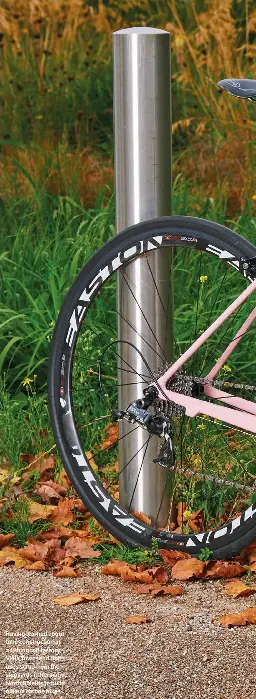 Gone fishing - PressReader