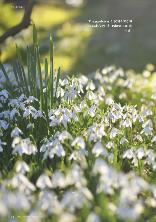 WINTER IN WONDERLAND - PressReader