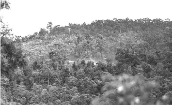 Marcos signs law to account for Phl’s natural resources - PressReader