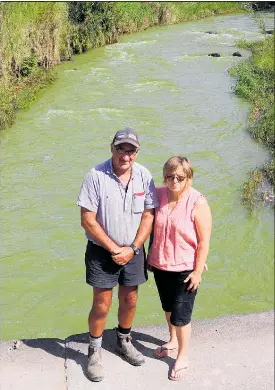 Warning signs due as eels die in algal bloom - PressReader
