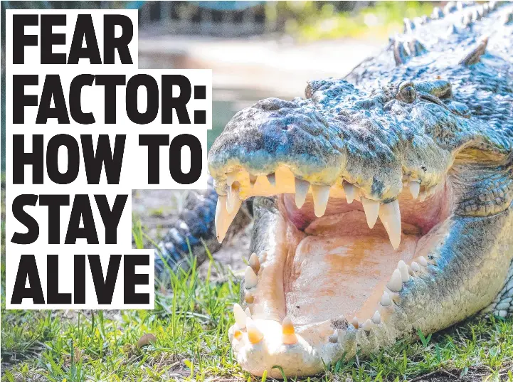 FEAR FACTOR: HOW TO STAY ALIVE - PressReader