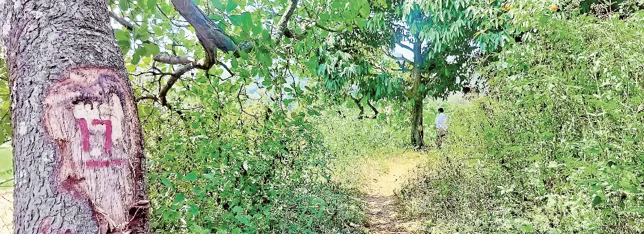 Sharavati valley project: Meeting growing power demand vs. keeping ...