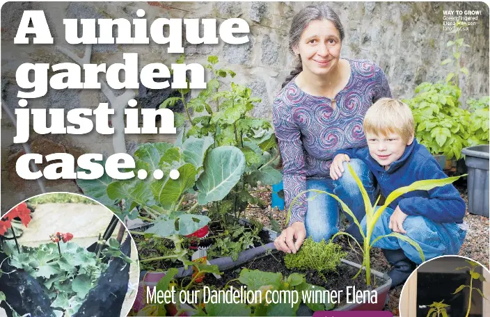 A unique garden just in case… - PressReader