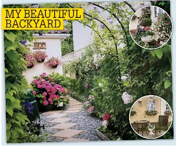 MY BEAUTIFUL BACKYARD - PressReader