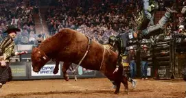 Bull-riding tour to visit Boston in ’26 - PressReader
