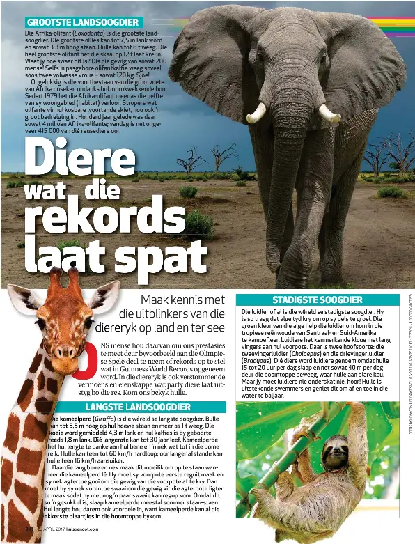 Diere wat die rekords laat spat - PressReader