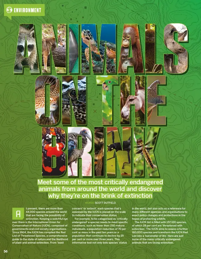 Animals on the brink - PressReader