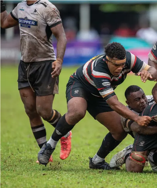 Stallions Bank on the ‘Power of One’ - PressReader