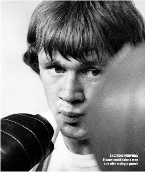 The making of Sibbo - PressReader