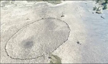 Prioritisi­ng social licence to operate - PressReader