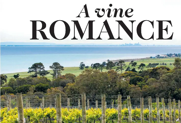 A VINE ROMANCE - PressReader