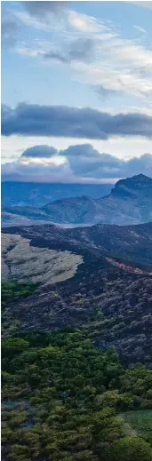 Yaqara Ranch – Far From its Vision - PressReader