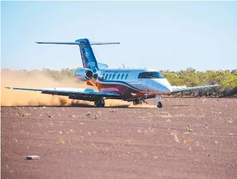 NEW BIRD IN THE SKY - PressReader