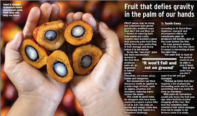 Fruit that defies gravity in the palm of our hands - PressReader