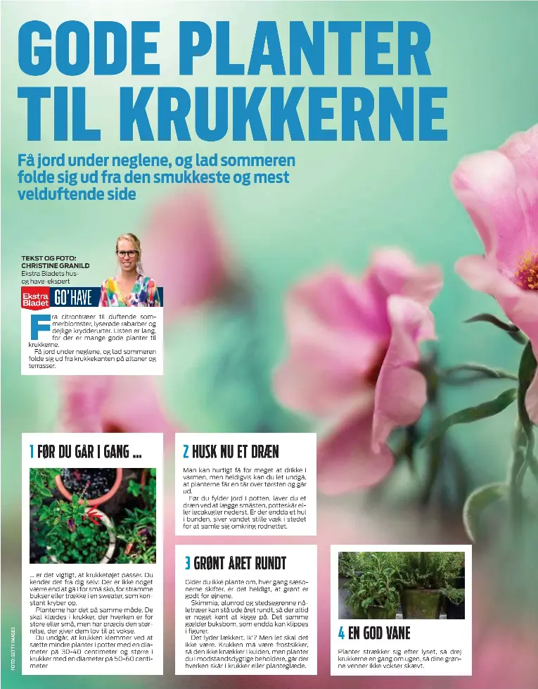 GODE PLANTER TIL KRUKKERNE - PressReader