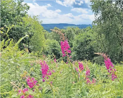 Hveoaicdee­or fhtehre People - PressReader