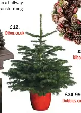 Embrace nature for Christmas this year with fresh green foliage and traditiona­l decoration­s ...