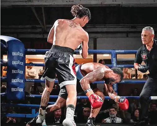 BCF boss defends release of boxers - PressReader