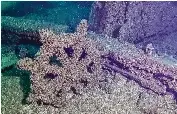 Searchers discover a ‘ghost ship’ that sank in Lake Michigan 140 years ago - PressReader