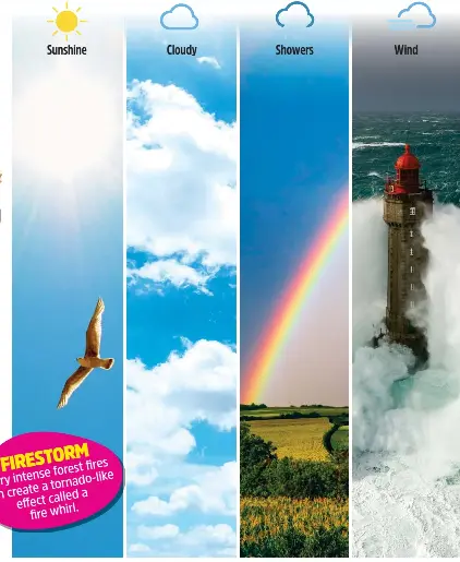 Human attempts to work out the weather - PressReader