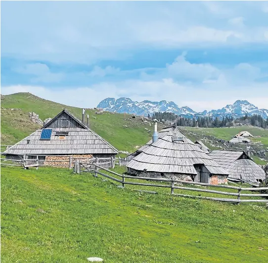 Tim Clark drinks like a cow herder, learns the marital secret behind ...