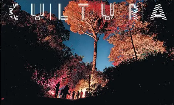 “Serralves em Luz” abre hoje com 25 novas paisagens - PressReader