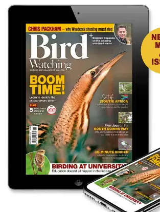 Birding from home? - PressReader