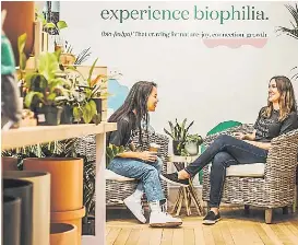 Indoor plants make us happier - PressReader