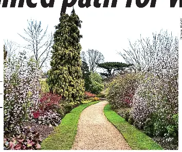 A perfumed path for winter - PressReader