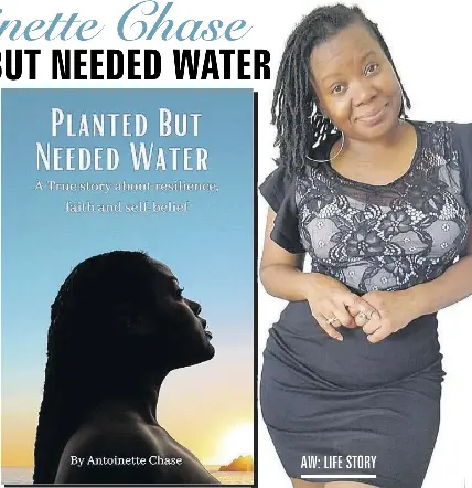 Antoinette Chase PLANTED BUT NEEDED WATER - PressReader