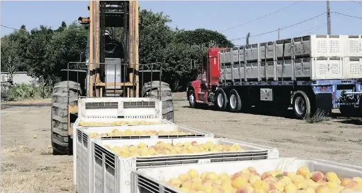Del Monte cannery closure devastates California fruit growers - PressReader