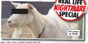 My evil ex DEEP FAKED me having sex with a GOAT ! - PressReader