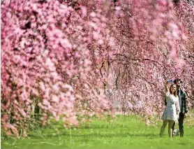 Flip-flops, anyone? Warm spring expected for US - PressReader