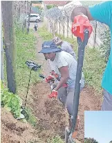 Belvedere residents clean up - PressReader