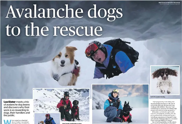 Avalanche dogs to the rescue - PressReader