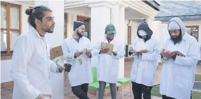 School goes gaga over dagga - PressReader