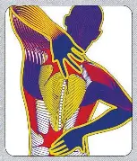 ‘Unbalanced’ muscles can cause pain - PressReader