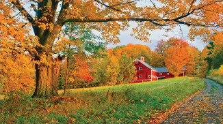 Beauty of Autumn - PressReader