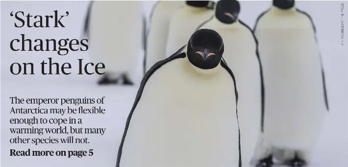 ‘Stark’ changes on the Ice - PressReader