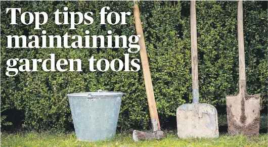 Top tips for maintainin­g garden tools - PressReader