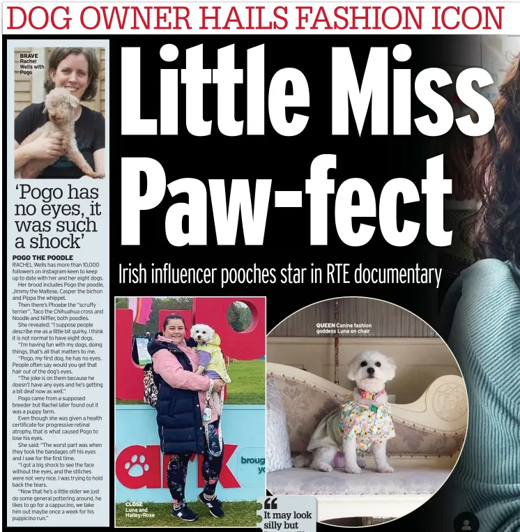 Little Miss Paw-fect - PressReader