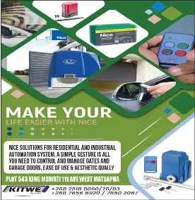 Ideas for landscapin­g with potted plants - PressReader