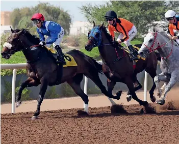 The great collection tops Jebel Ali racing - PressReader