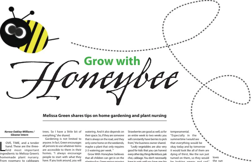 Grow with Honeybee - PressReader